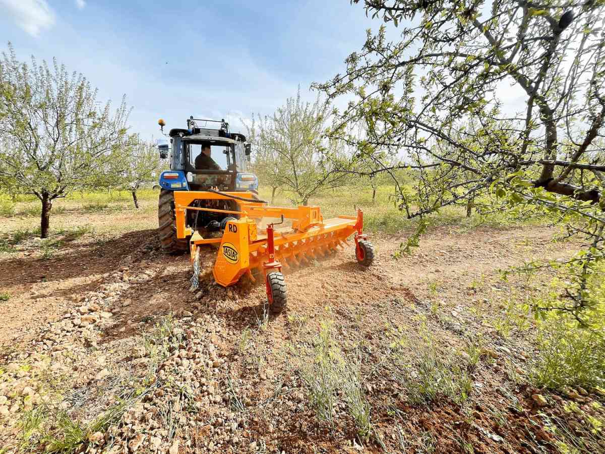 RD Rock Rake | Tasias Rock pickers